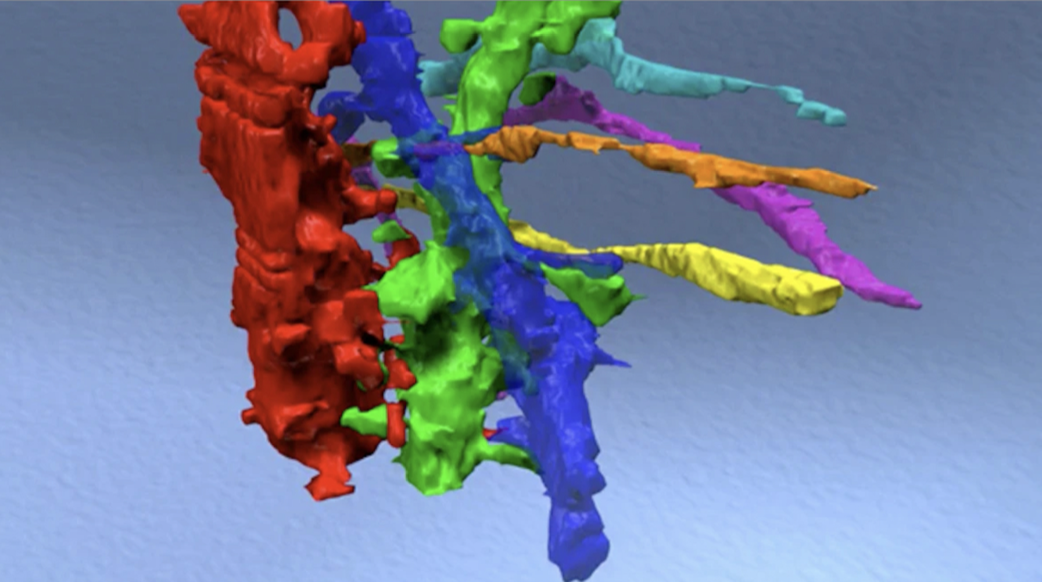 Laboratories and Centers | NYU Tandon School of Engineering